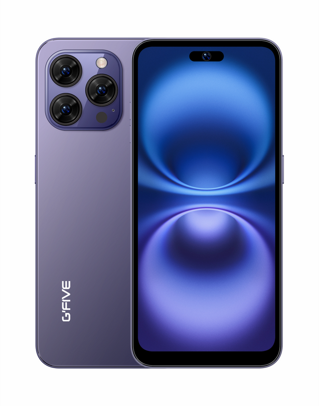 NOTE 25 – G'Five Mobile